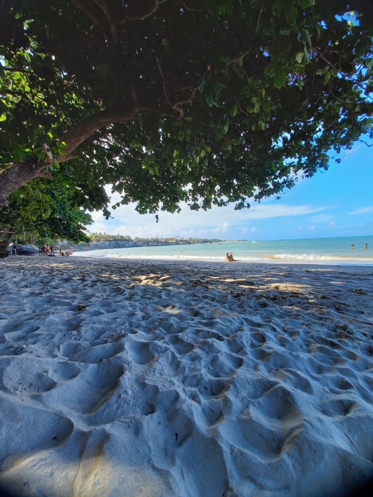 Jampa Paradise | O Melhor e mais completo site de passeios