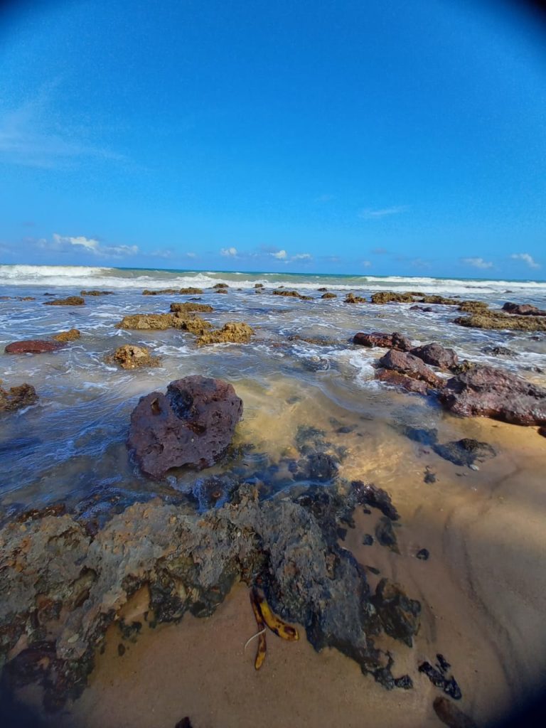 Jampa Paradise | O Melhor e mais completo site de passeios